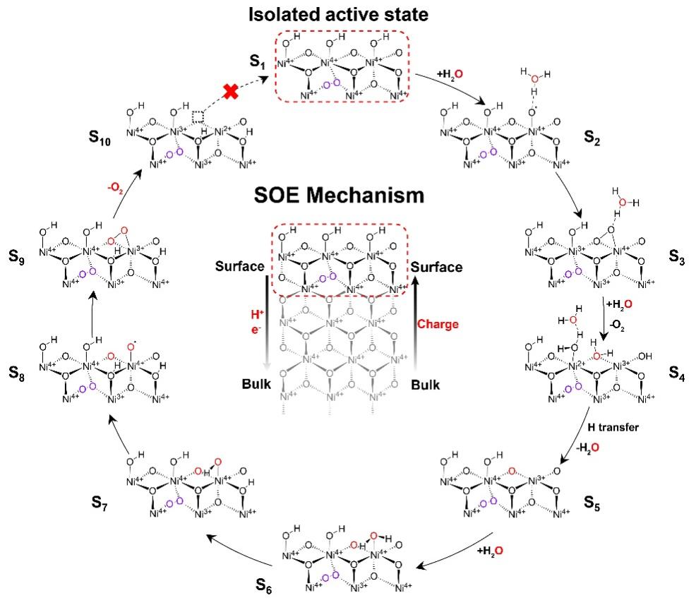 Deciphering the "Black Box" Mechanism of NiOOH in Electrochemical Water ...